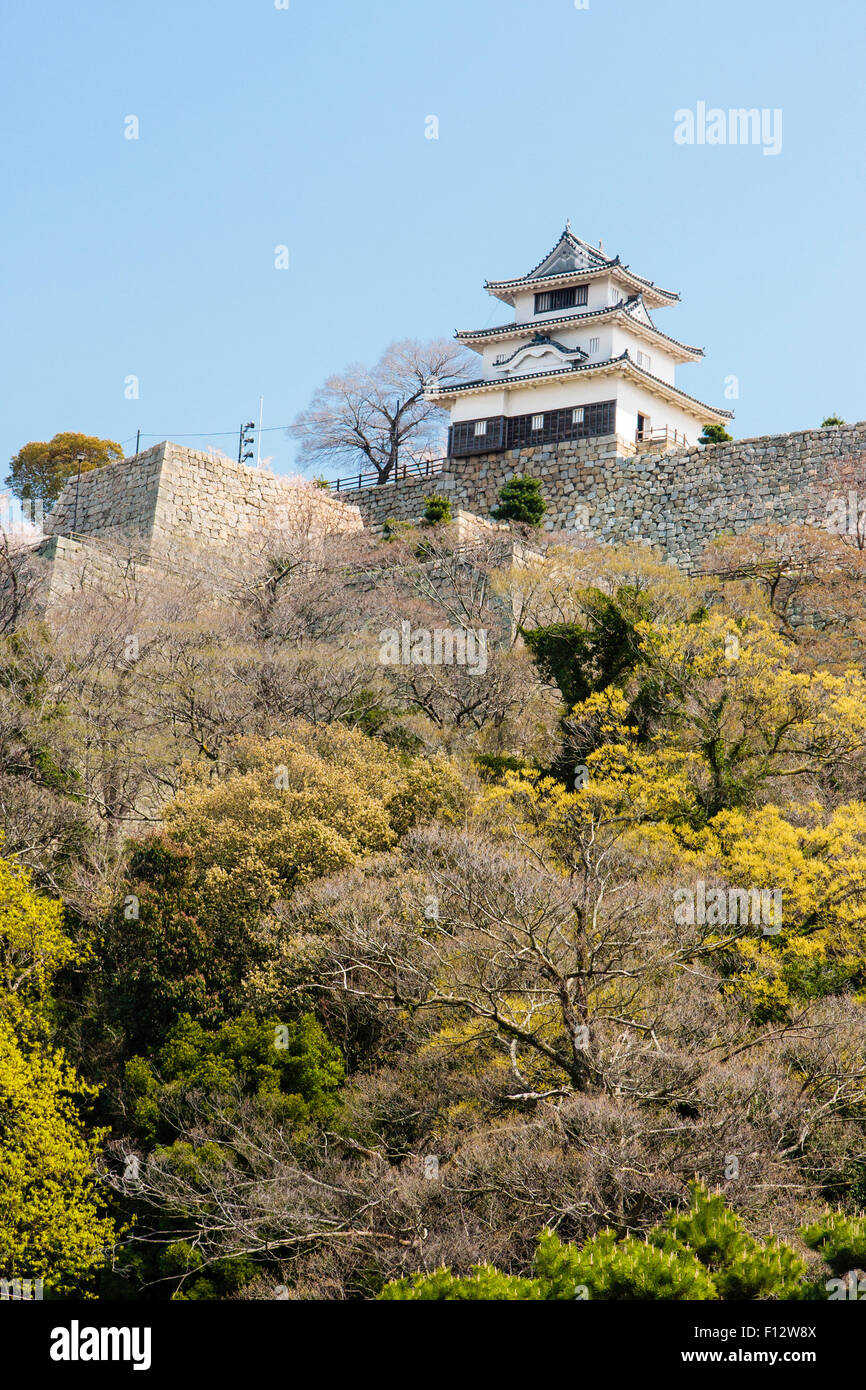 Marugame castle in Japan. Original castle keep, tenshu, in the sotogata ...