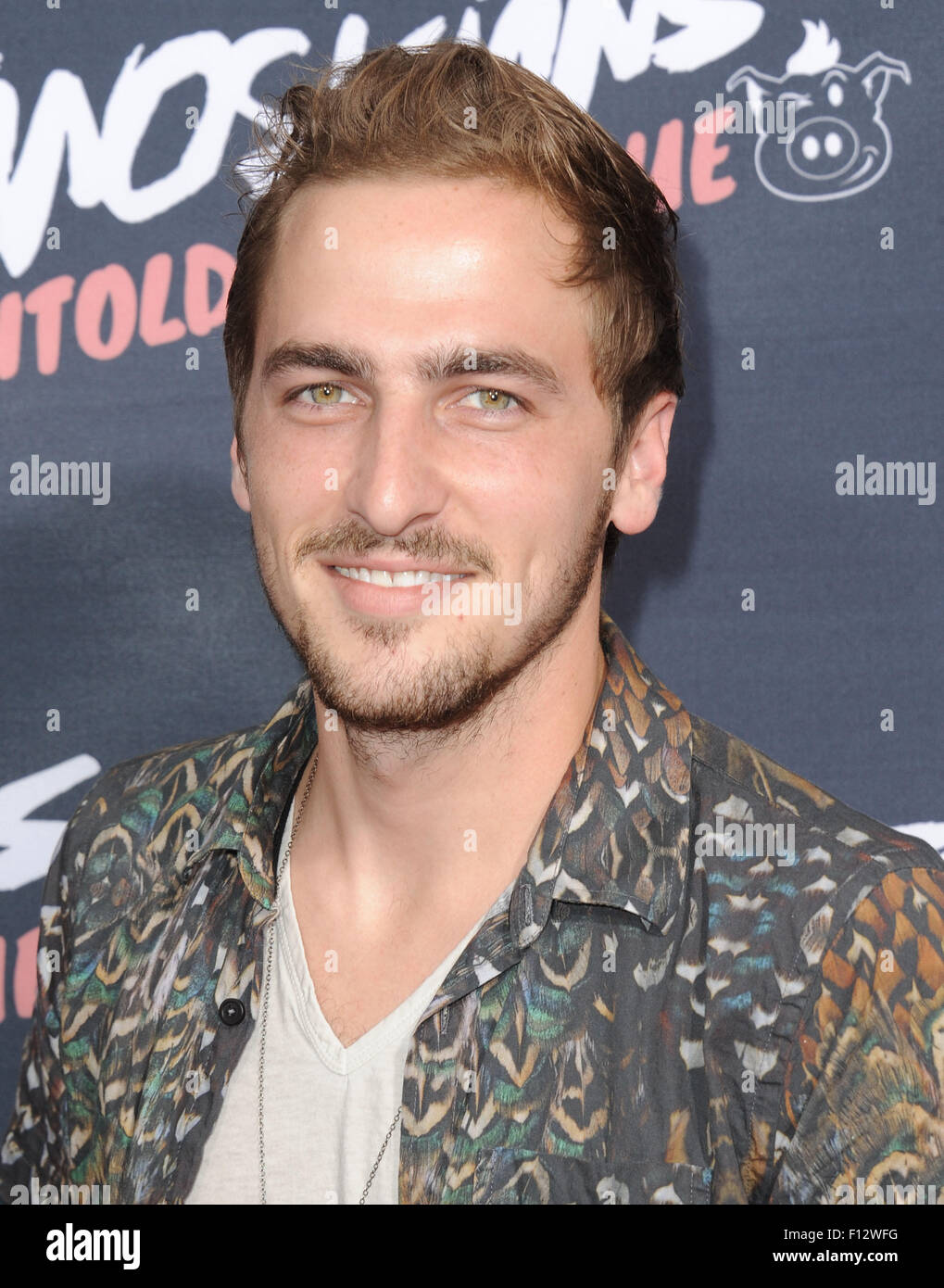 Los Angeles, California, USA. 25th Aug, 2015. Kendall Schmidt attending ...