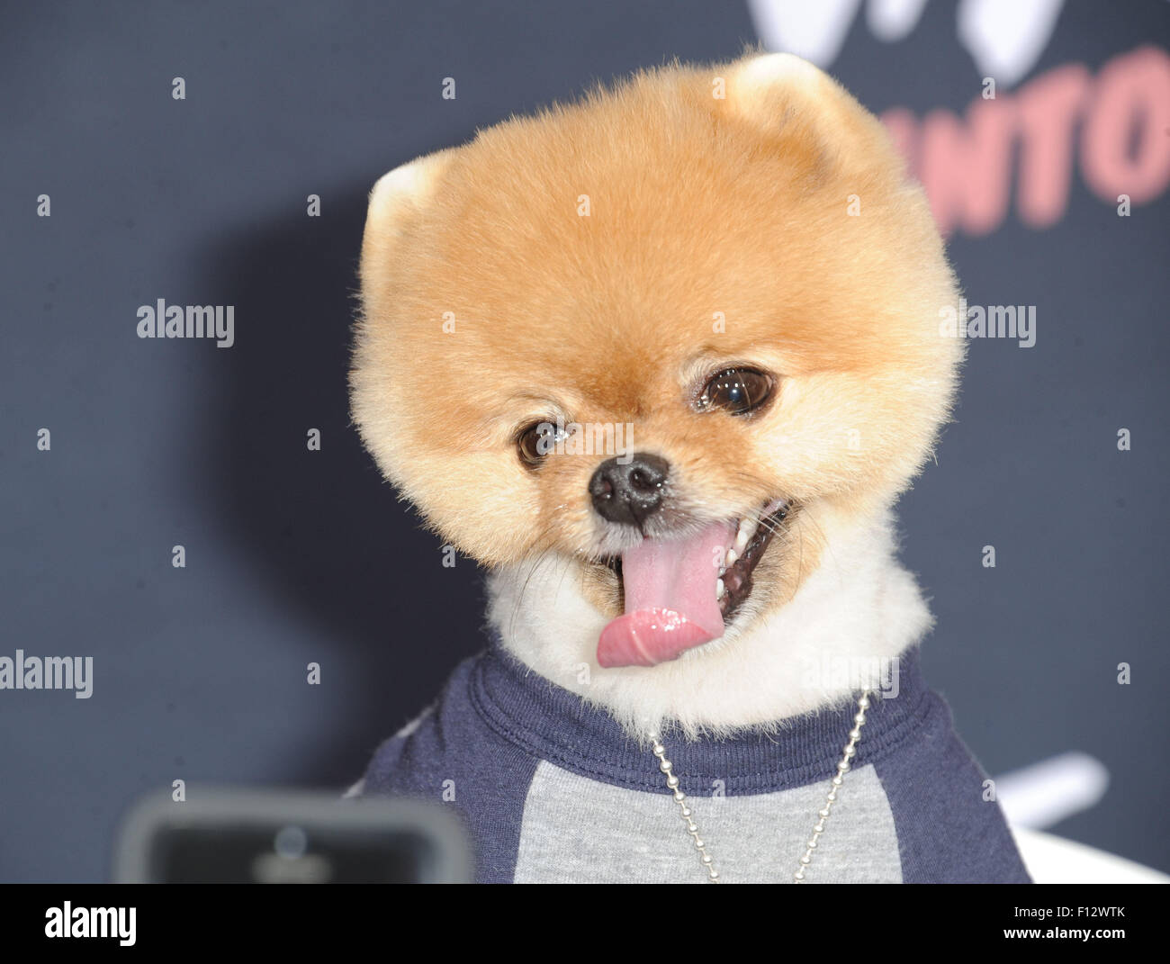 Los Angeles, California, USA. 25th Aug, 2015. Jiff Pomm attending the Los Angeles Premiere of ...