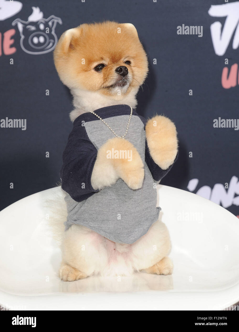 Los Angeles, California, USA. 25th Aug, 2015. Jiff Pomm attending the Los Angeles Premiere of ...