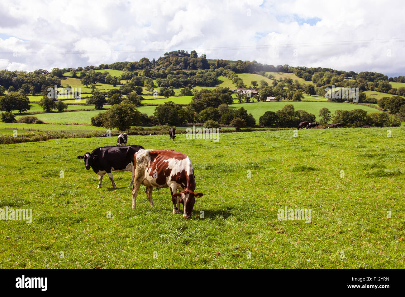 Dumpdon hill hi-res stock photography and images - Alamy