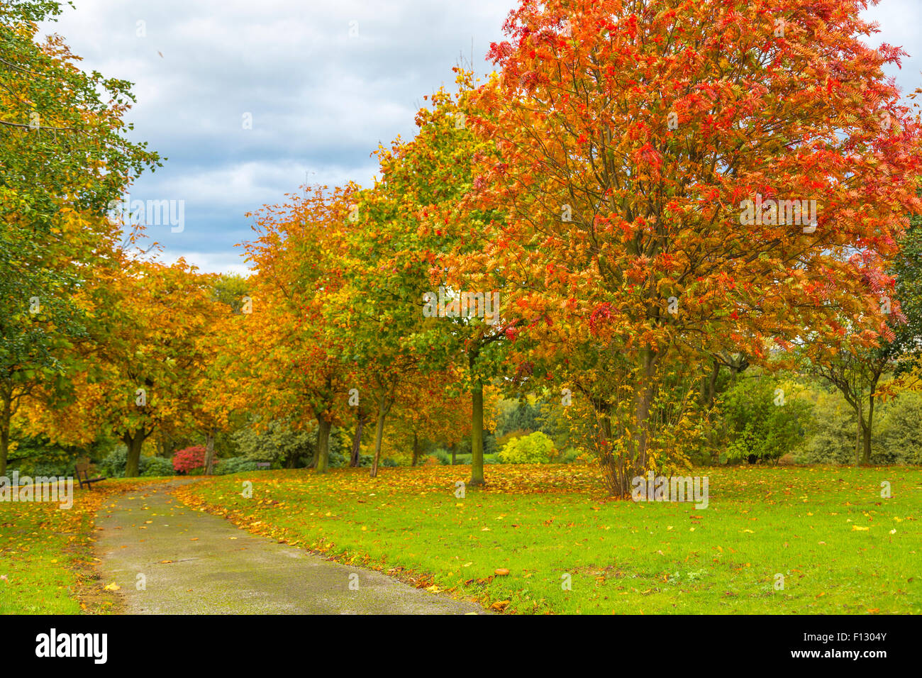 An autumn scenic walk in Yorkshire, UK Stock Photo - Alamy