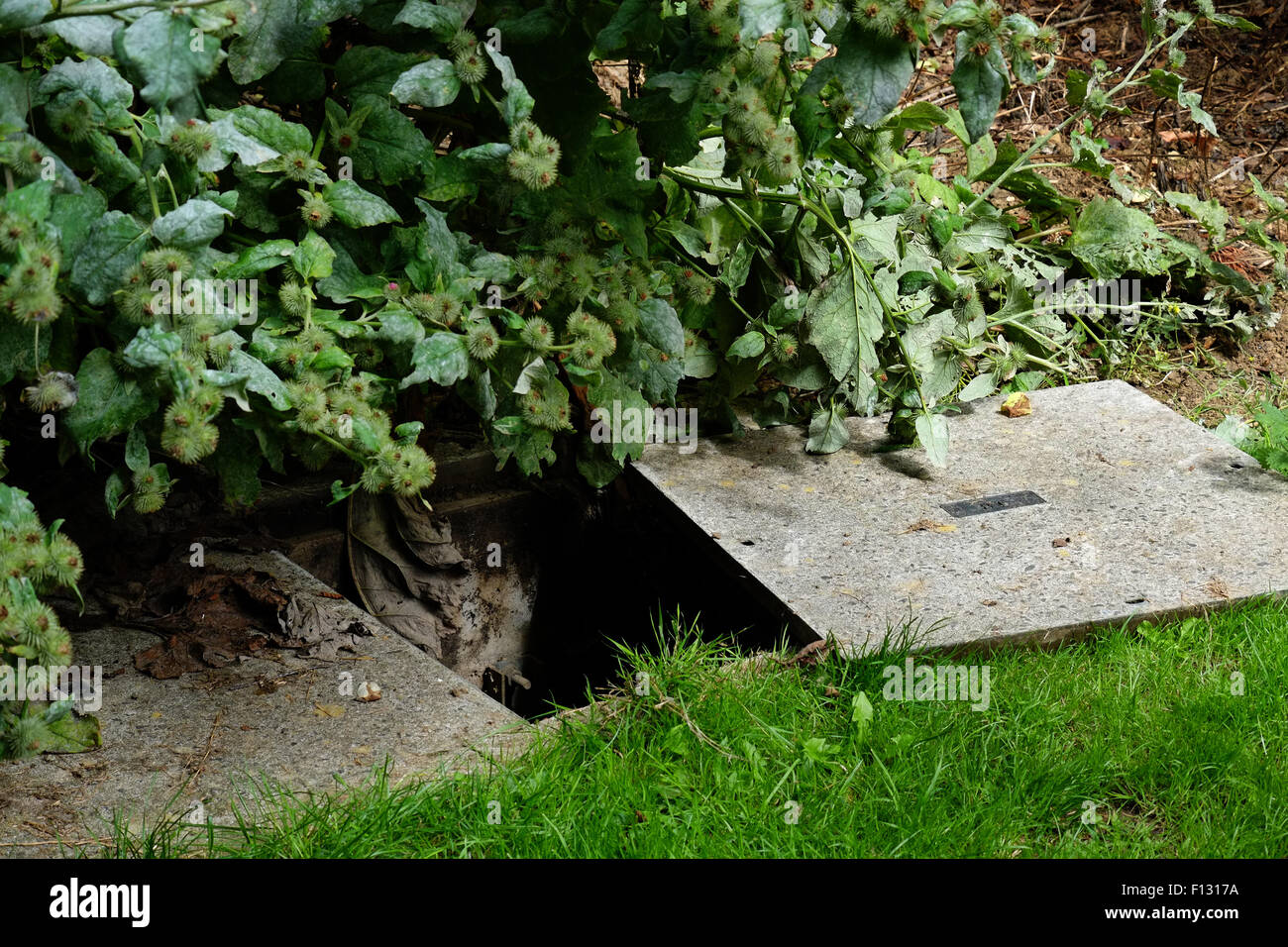 Very dangerous hole near public path Stock Photo - Alamy
