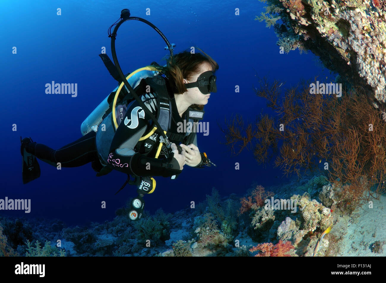 Ras muhammad national park hi-res stock photography and images - Alamy