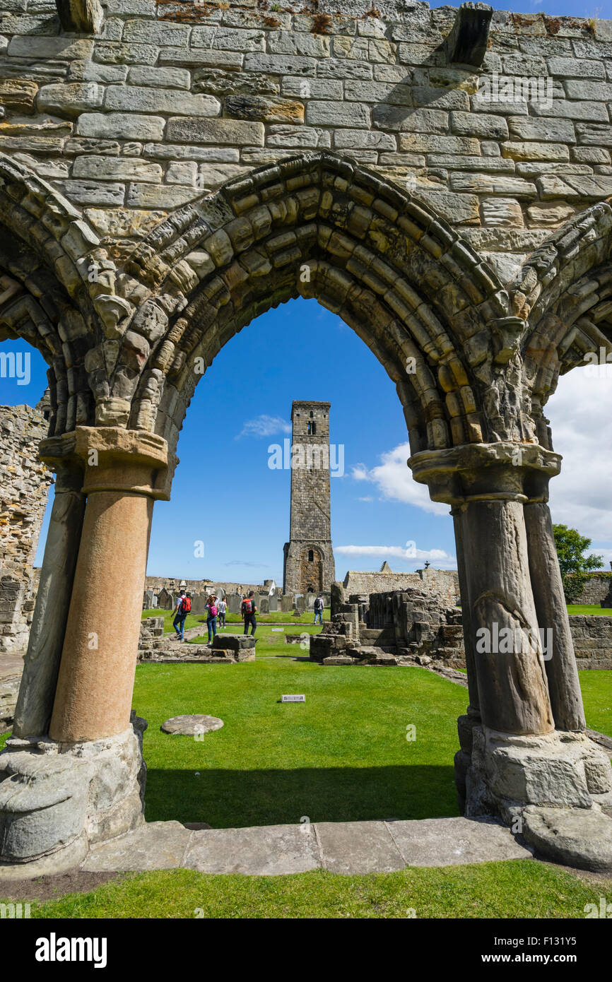 Ruins of St Andrews Cathedral St Andrews Fife, Scotland Stock Photo - Alamy