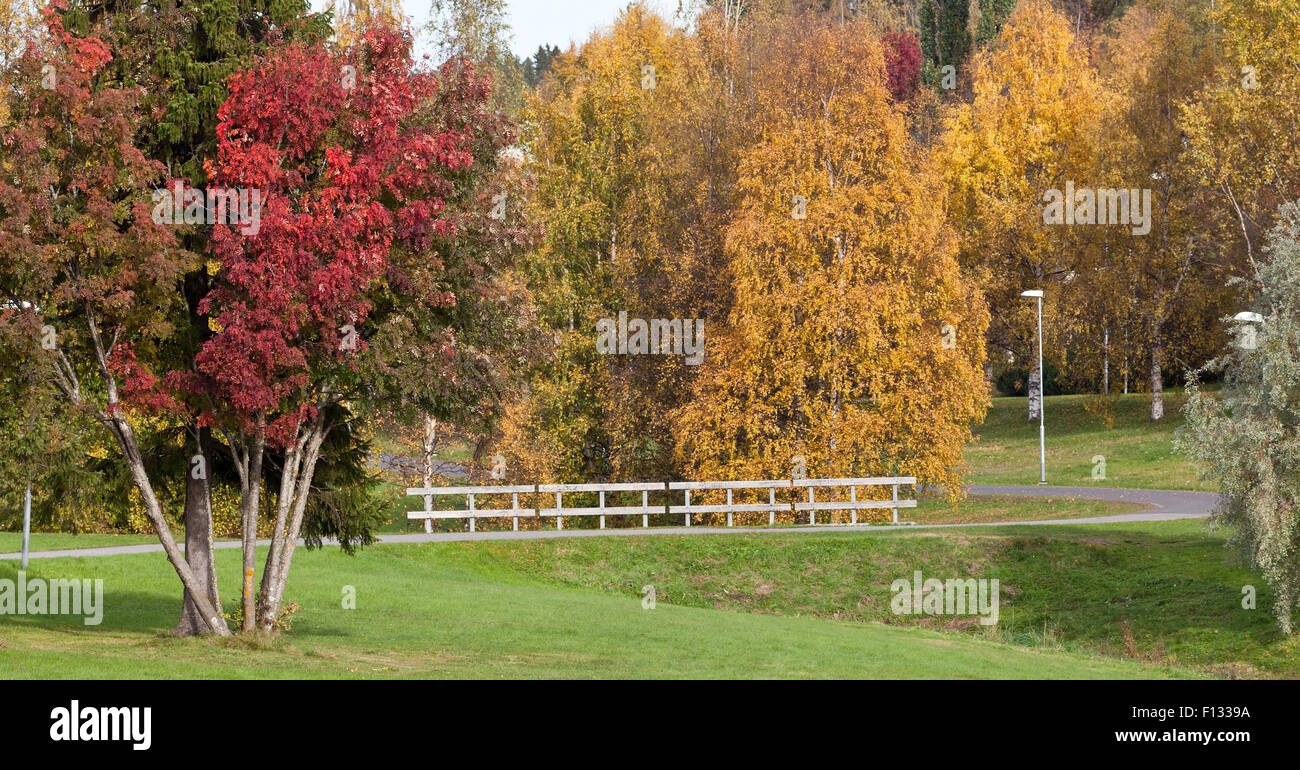 Walkway, path cross a brook, creek. Colorful trees in the surrounding ...