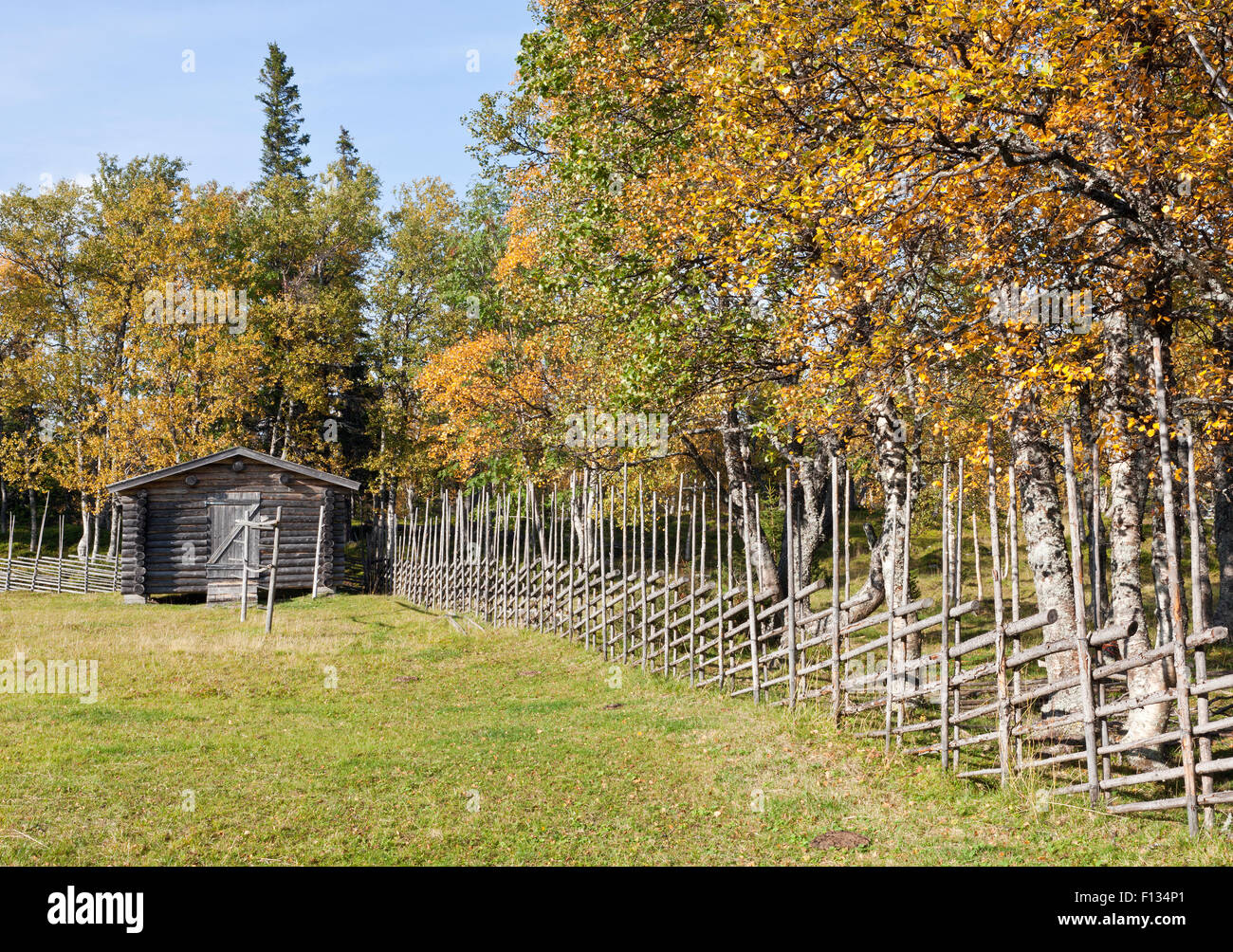 Typical Nordic fence made of wooden bars, rods. Barn in the background ...