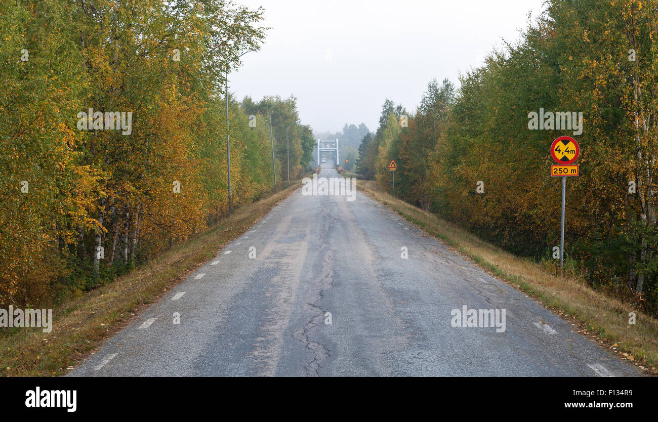 Minor and narrow road through a colorful misty forest. Electrical ...