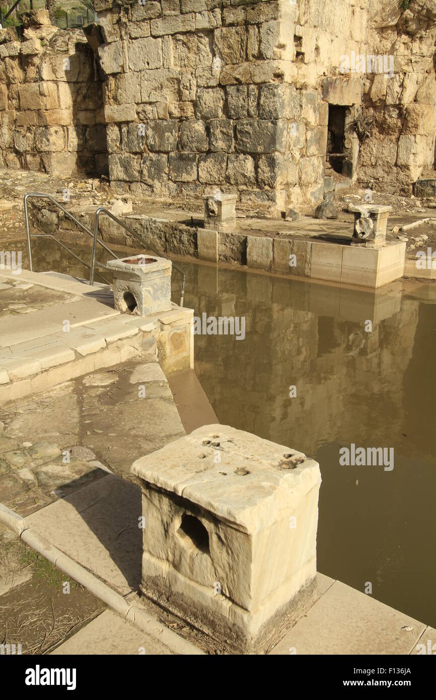 Israel, the Frigidarium, a cold water pool in the ancient Roman baths ...