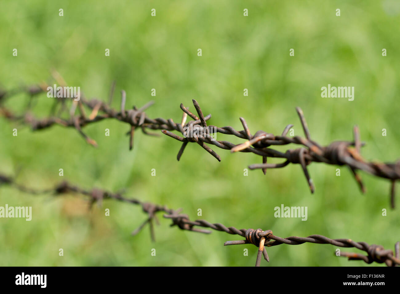 Barbed point hi-res stock photography and images - Alamy