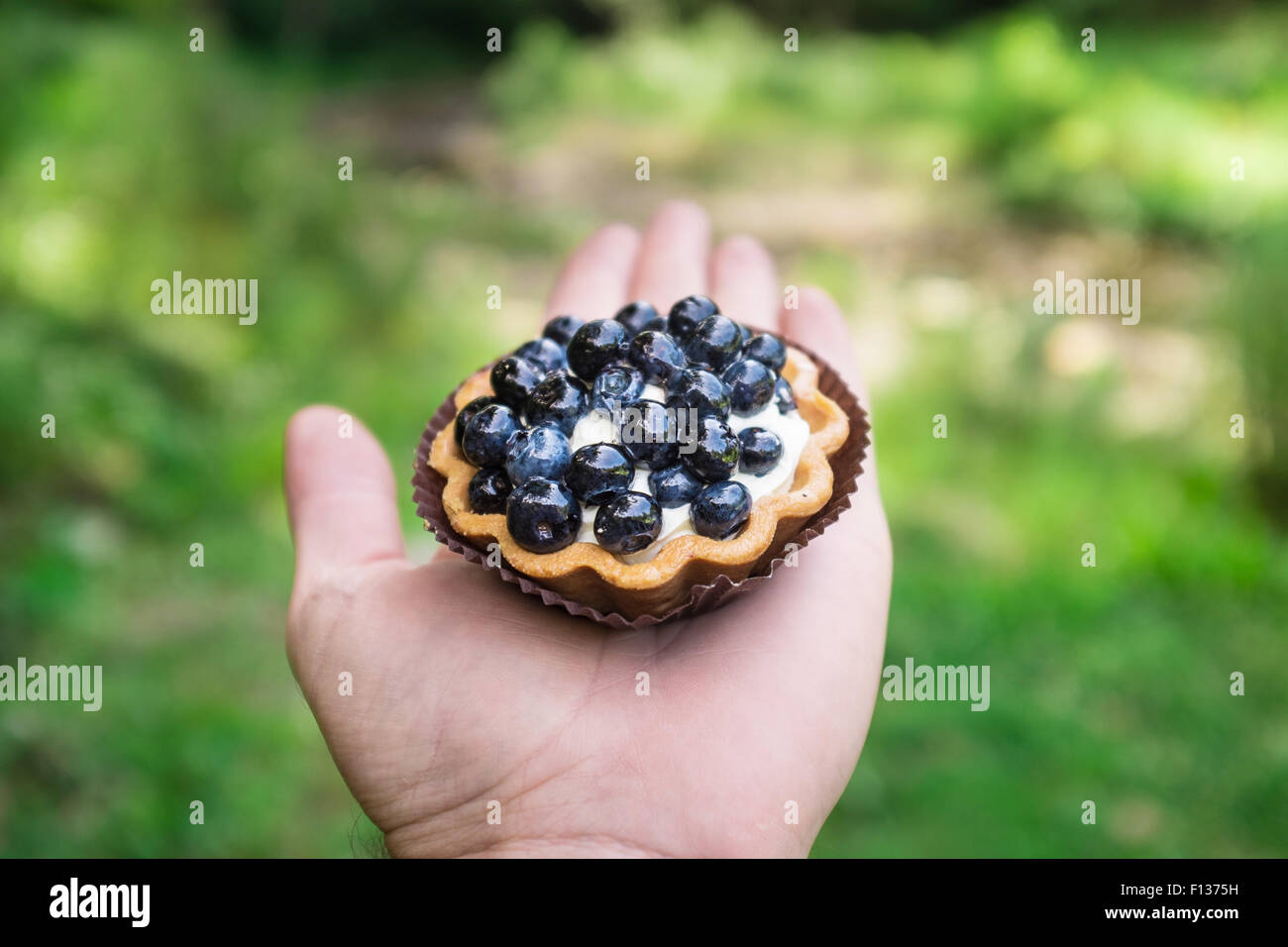Traditional polish blueberry bun cookie Stock Photo - Alamy