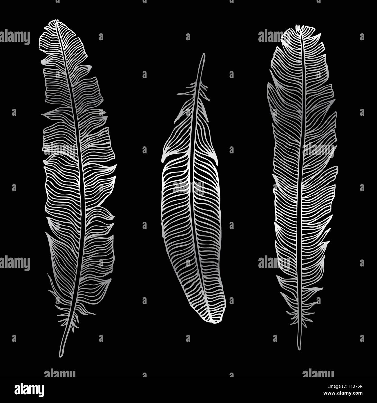 Beautiful Vintage Feathers Stock Vector Image & Art - Alamy