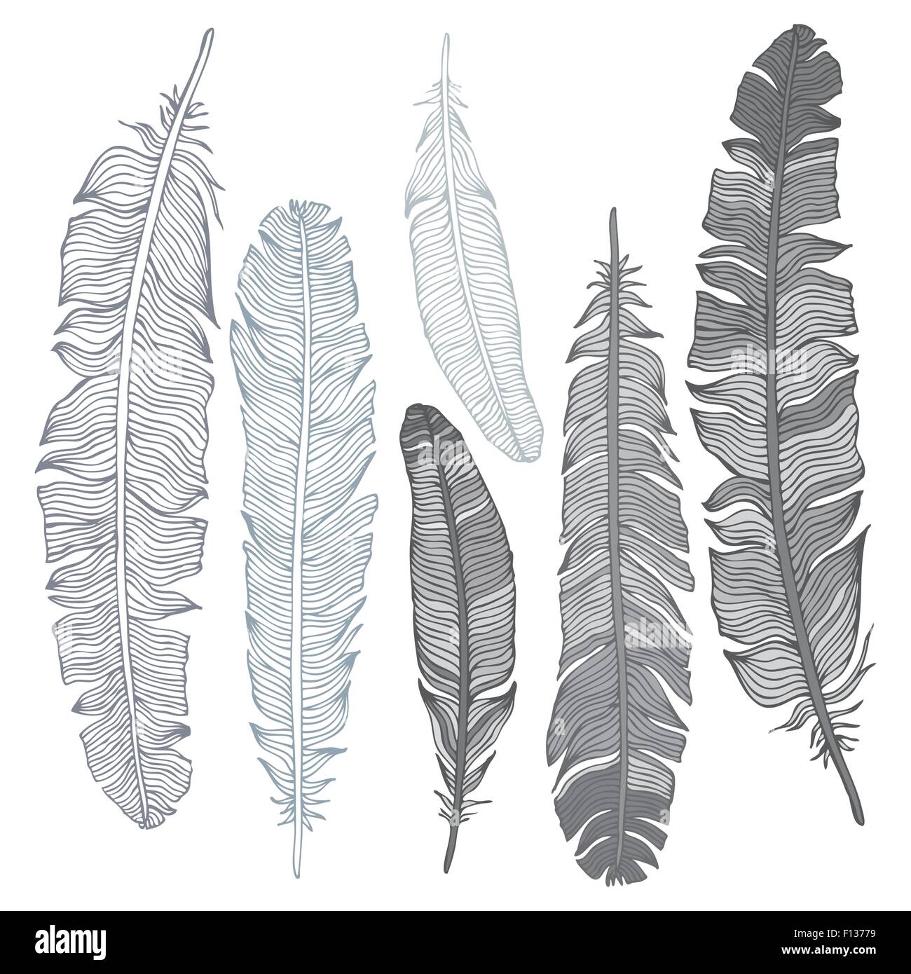 Beautiful Vintage Feathers Stock Vector Image & Art - Alamy