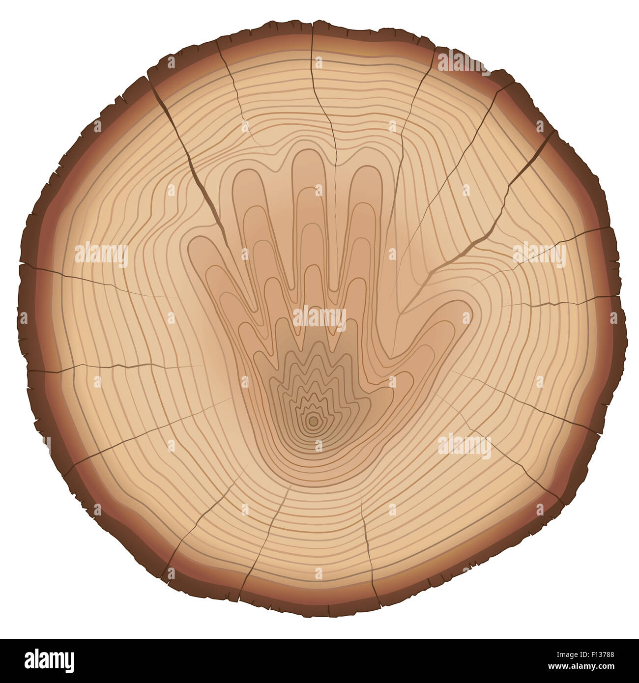 Hand shaped annual rings on a wood Stock Photo - Alamy