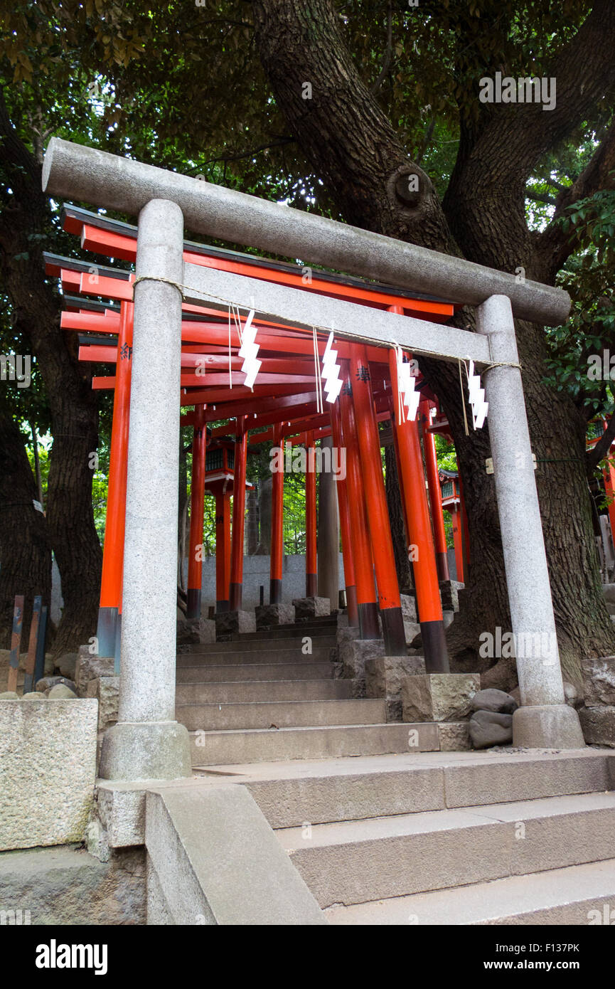 Torii Gate in Tokyo Stock Photo - Alamy