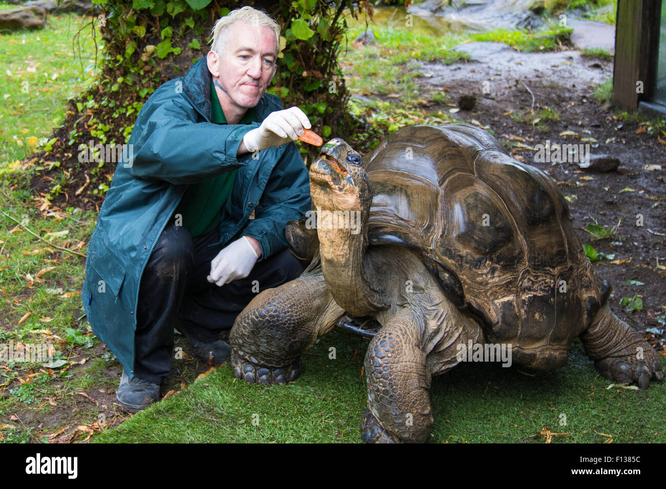 Zookeeper feeding animals hi-res stock photography and images - Alamy