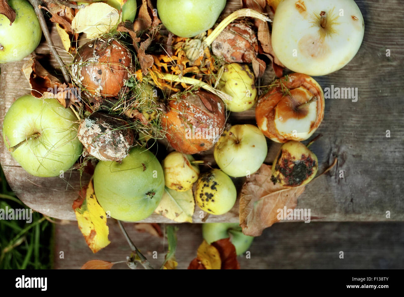 Spoiled harvest hi-res stock photography and images - Alamy