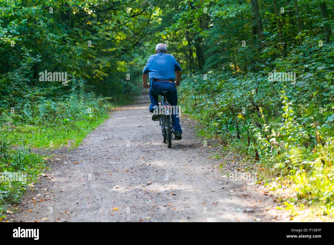 Man riding on bike through summertime forest. Forest path with man ...