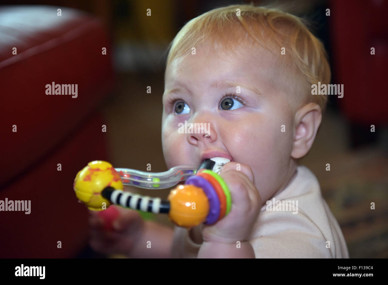 An eleven month old baby chewing on a plastic teething ring to ...