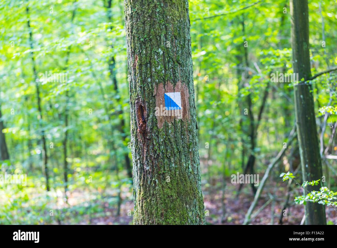 Hiking trail blue white mark sign hi-res stock photography and images ...