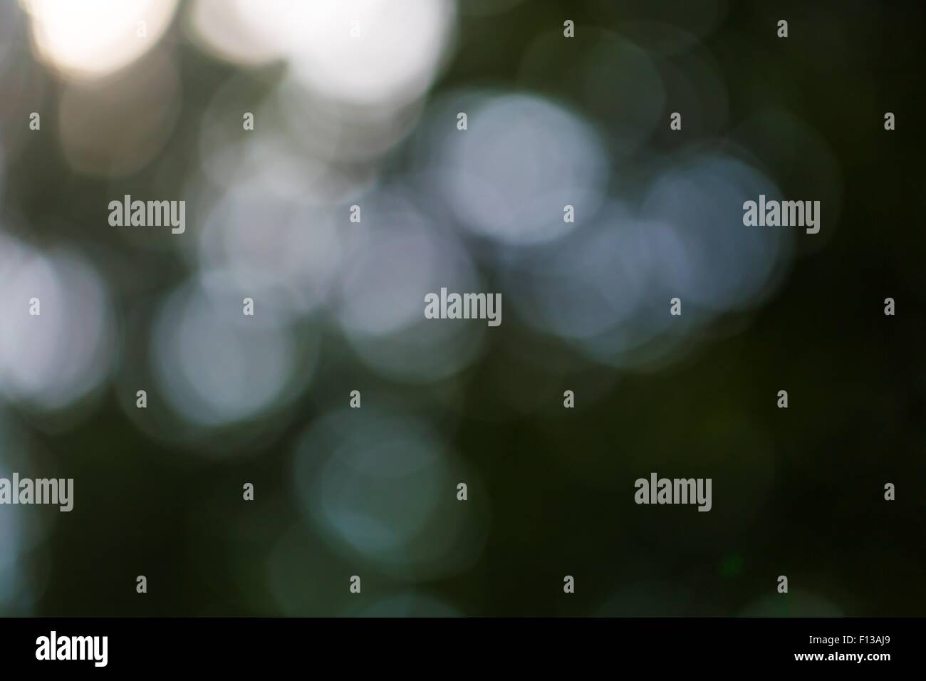 Natural abstract background of defocused forest with bokeh effect Stock ...