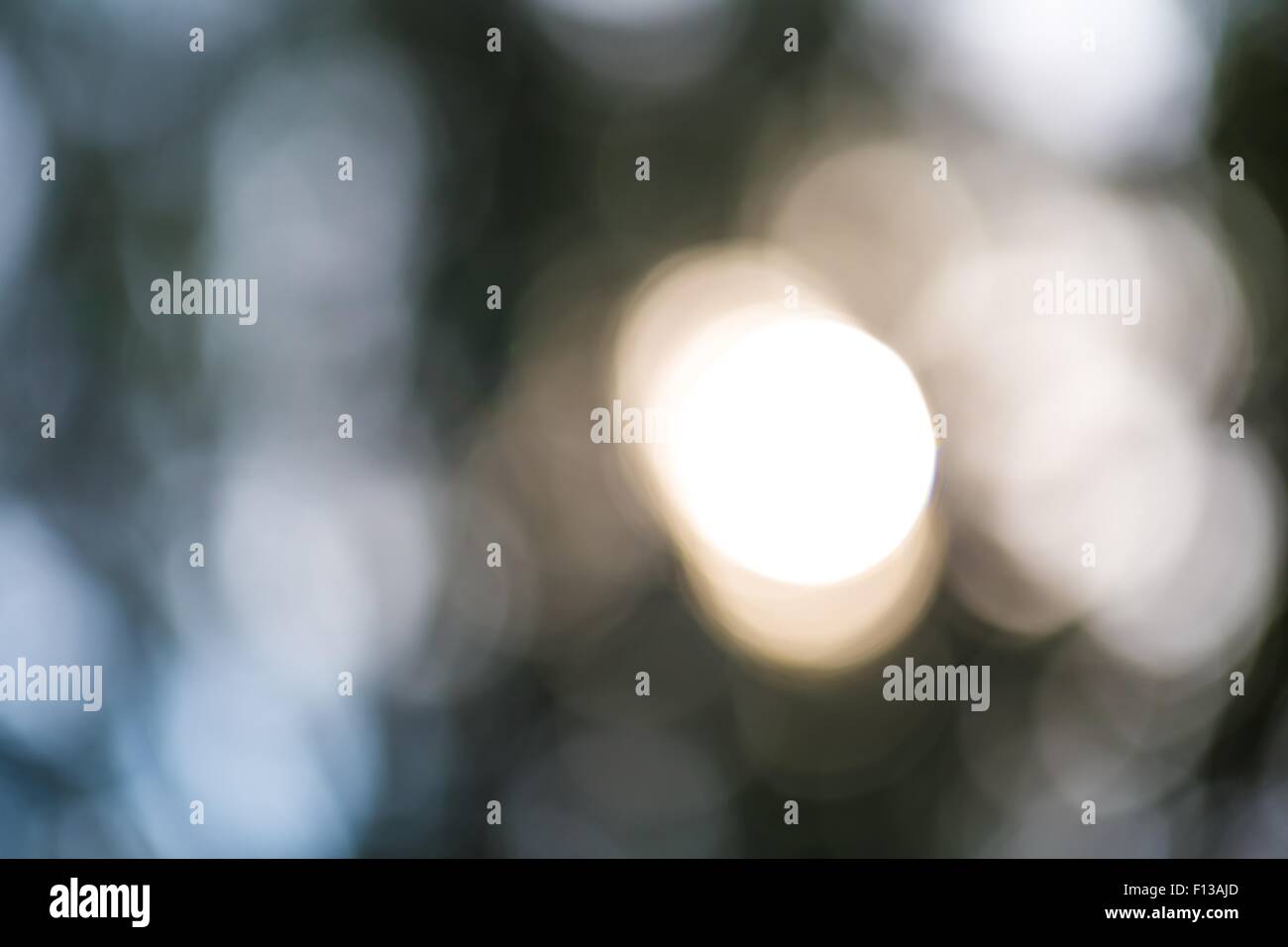 Natural abstract background of defocused forest with bokeh effect Stock ...