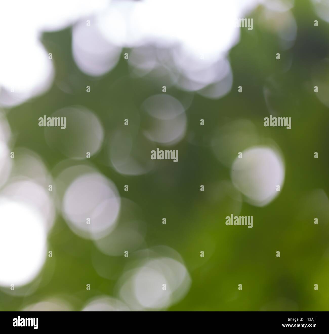 Bokeh natural background hi-res stock photography and images - Alamy