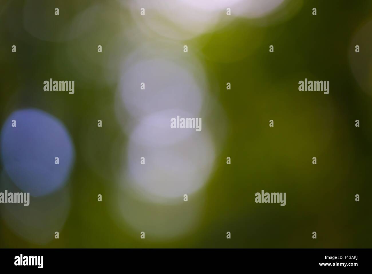 Natural abstract background of defocused forest with bokeh effect Stock ...