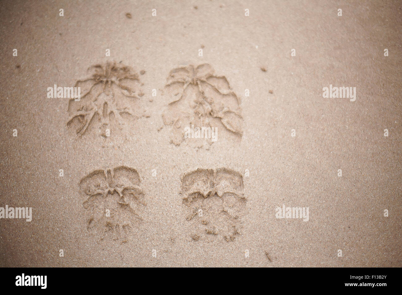 Morning impression on beach hi-res stock photography and images - Alamy