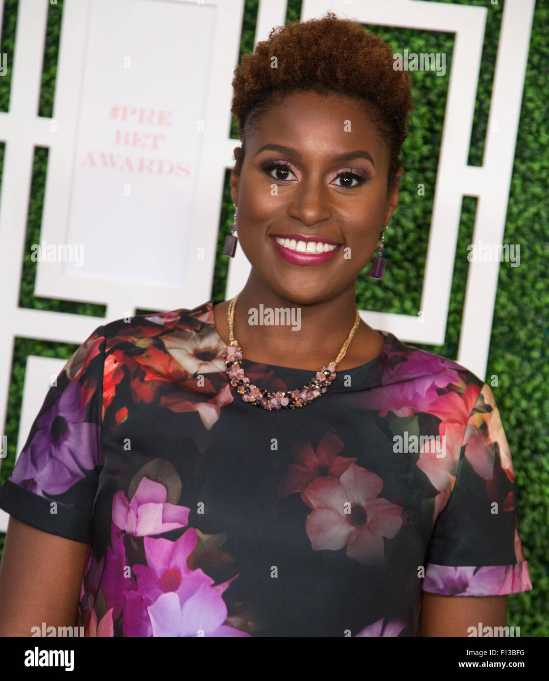 2015 BET Awards Debra Lee Pre-Dinner at Sunset Tower Hotel - Arrivals ...