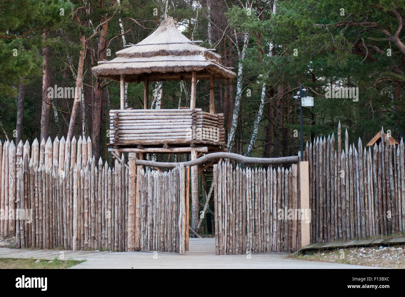 Wooden observation tower in the forest. Spring season. National Park ...