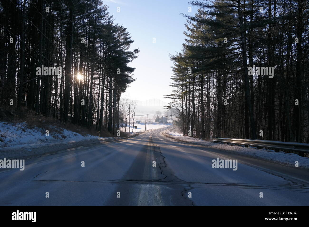Tree lined road in winter Stock Photo - Alamy