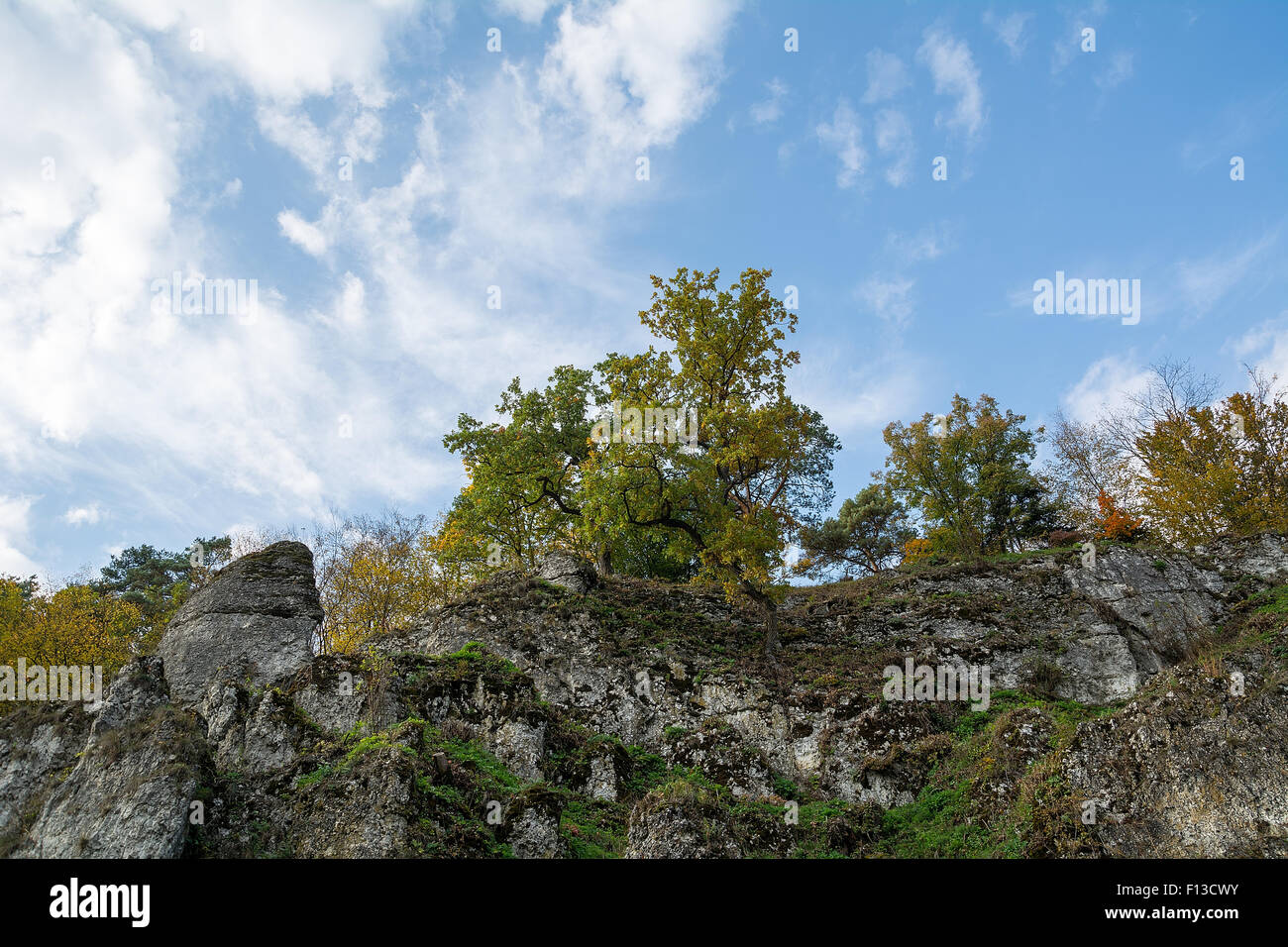 Limestone plants hi-res stock photography and images - Alamy