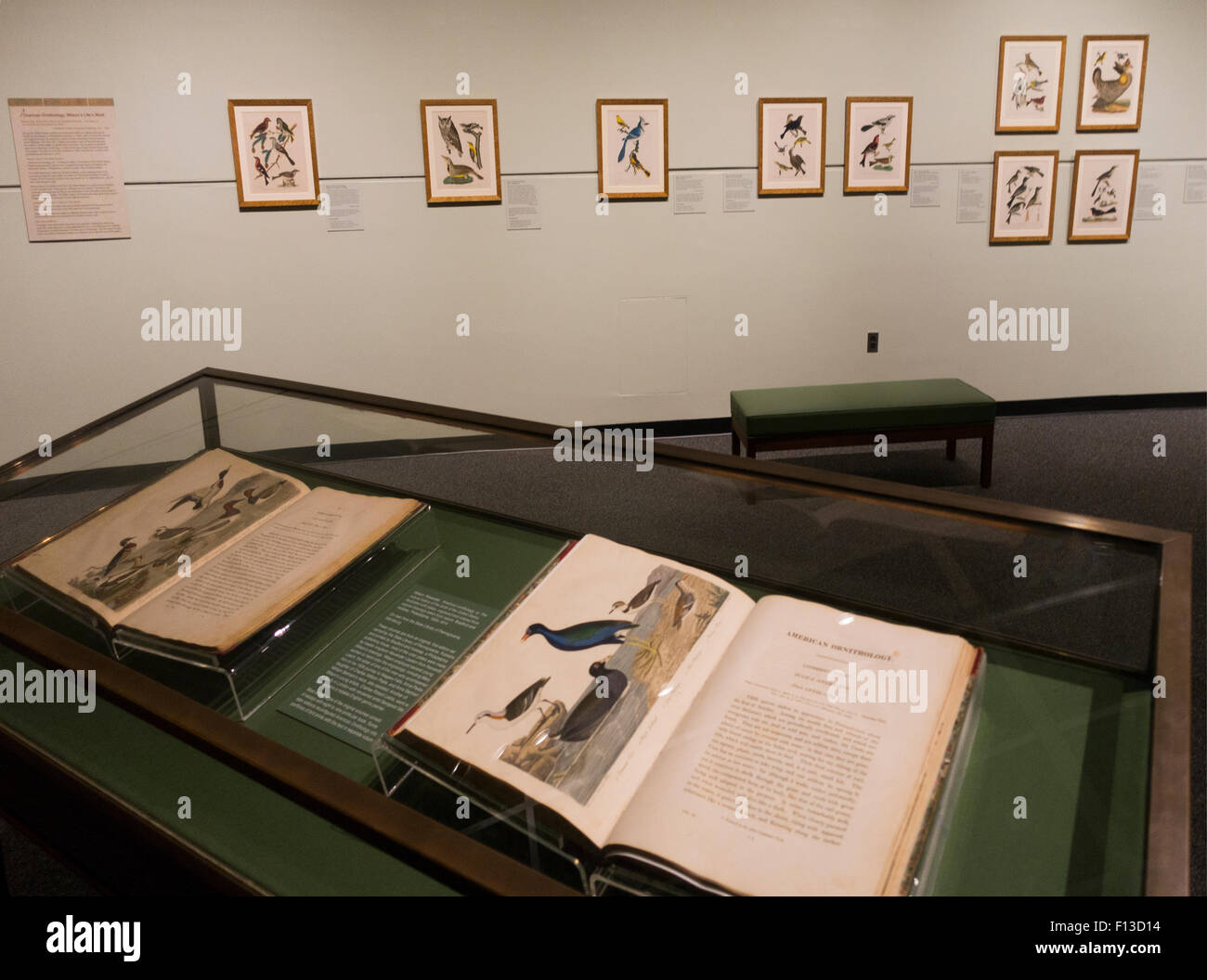 Exhibition state museum harrisburg pennsylvania hi-res stock ...