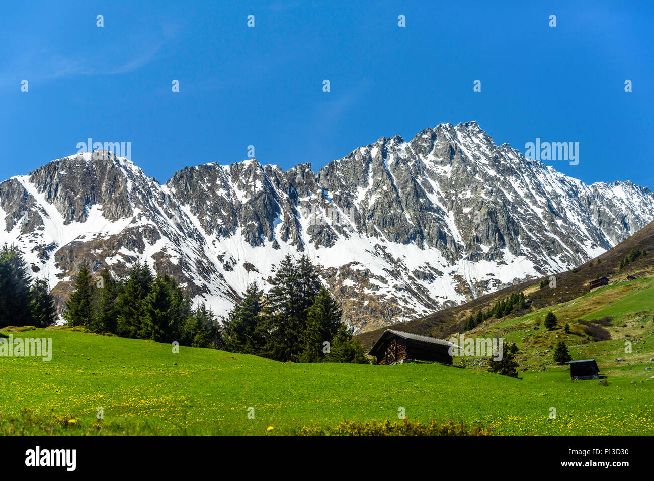 Alpine Meadows, Switzerland Stock Photo - Alamy