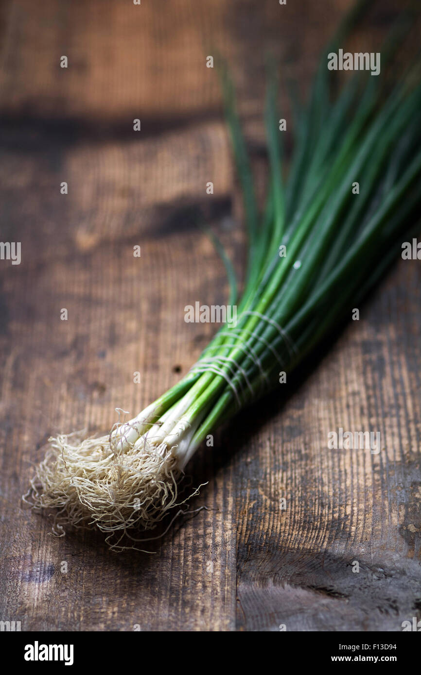 Bunch of freshly picked spring onions Stock Photo - Alamy