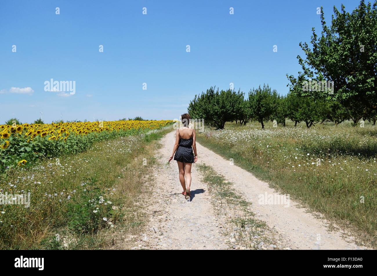 Rear view of a young woman walking down path Stock Photo - Alamy