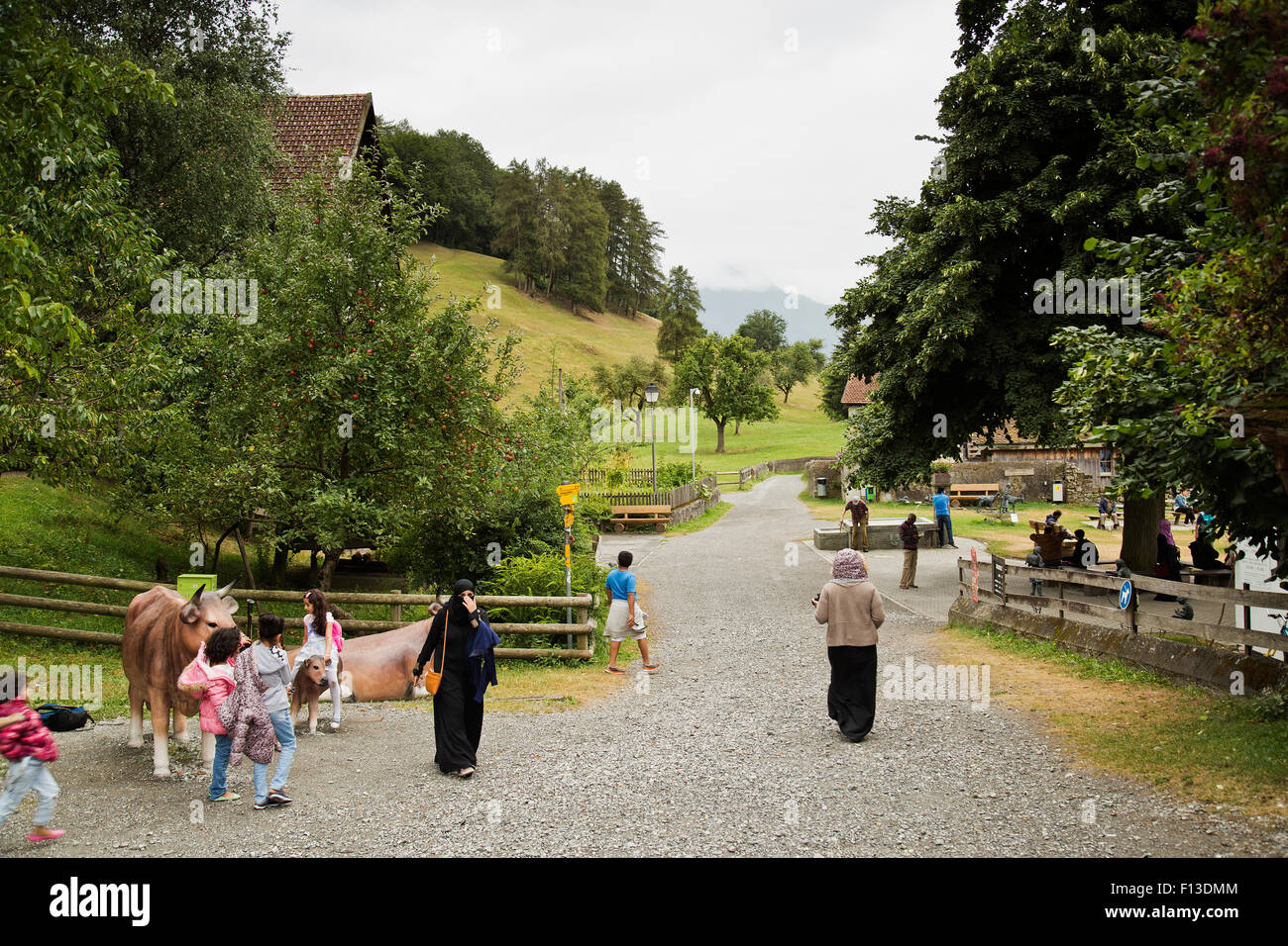 Heidi village hi-res stock photography and images - Alamy