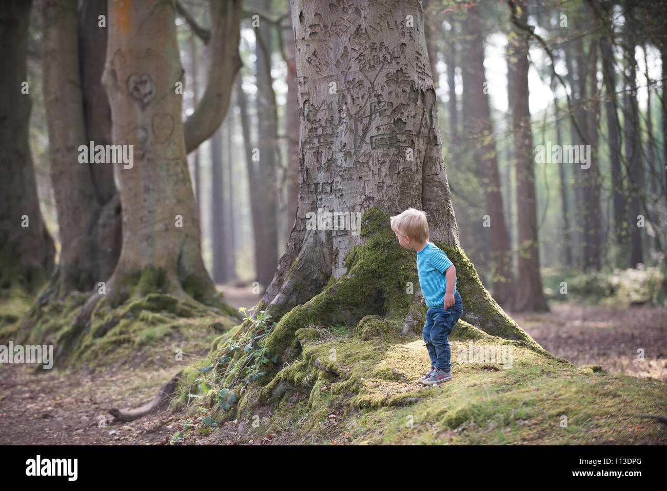 Boy playing in the forest Stock Photo - Alamy