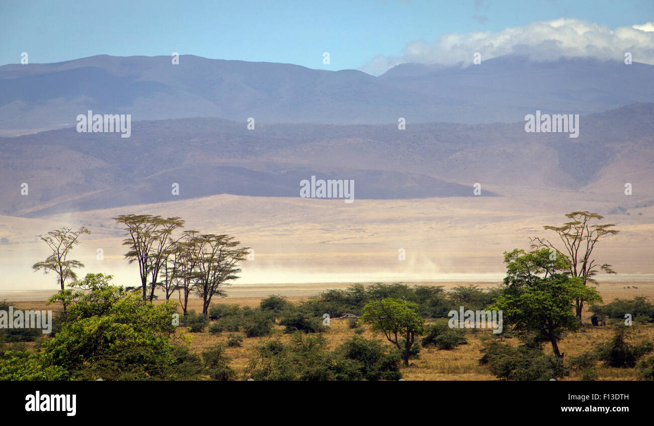 Ngorongoro Crater Wildlife Reserve, Tanzania Stock Photo - Alamy