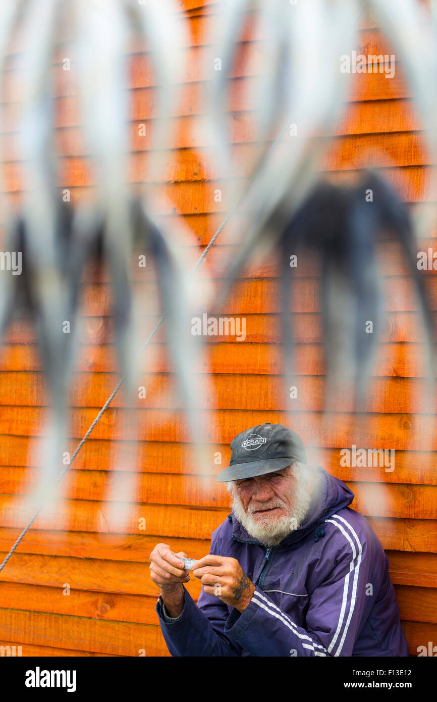 South african mullet High Resolution Stock Photography and Images - Alamy