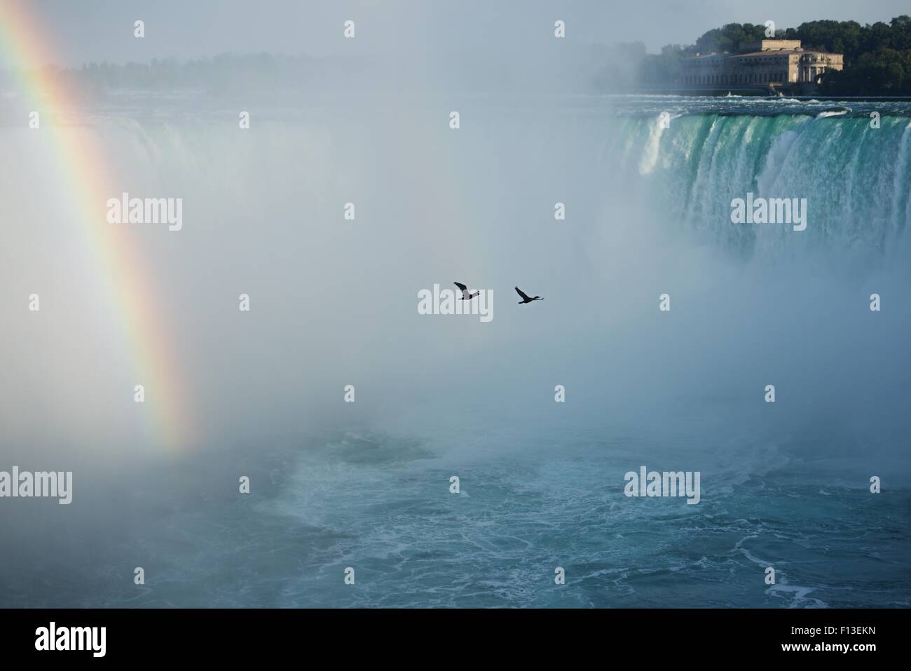 Two birds flying above Niagara falls, Canada Stock Photo - Alamy