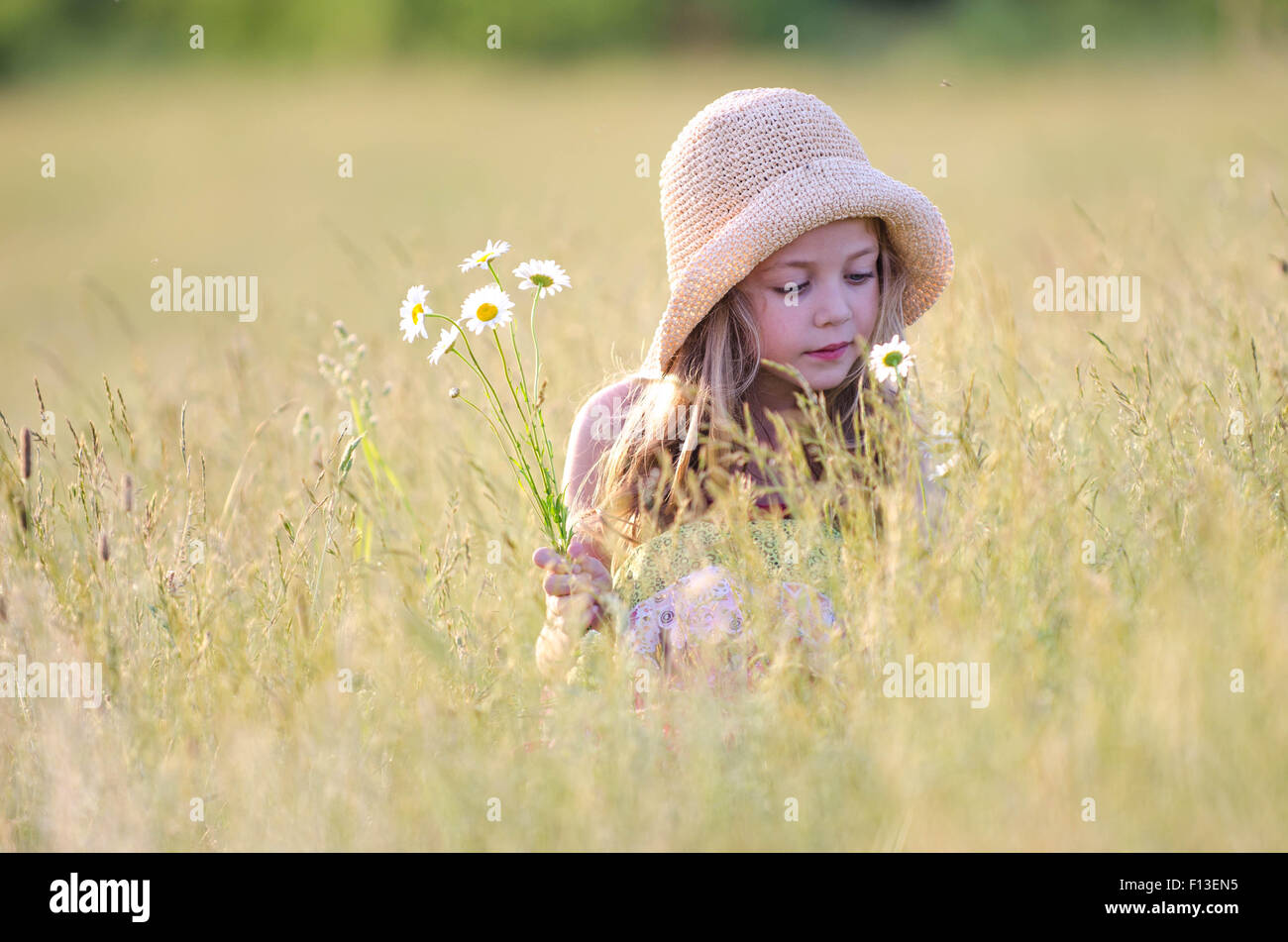Girl picking wildflowers in meadow Stock Photo - Alamy