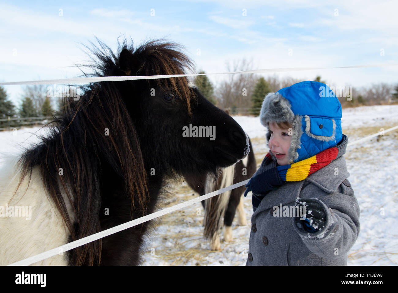 Portrait of a Boy with a pony Stock Photo - Alamy