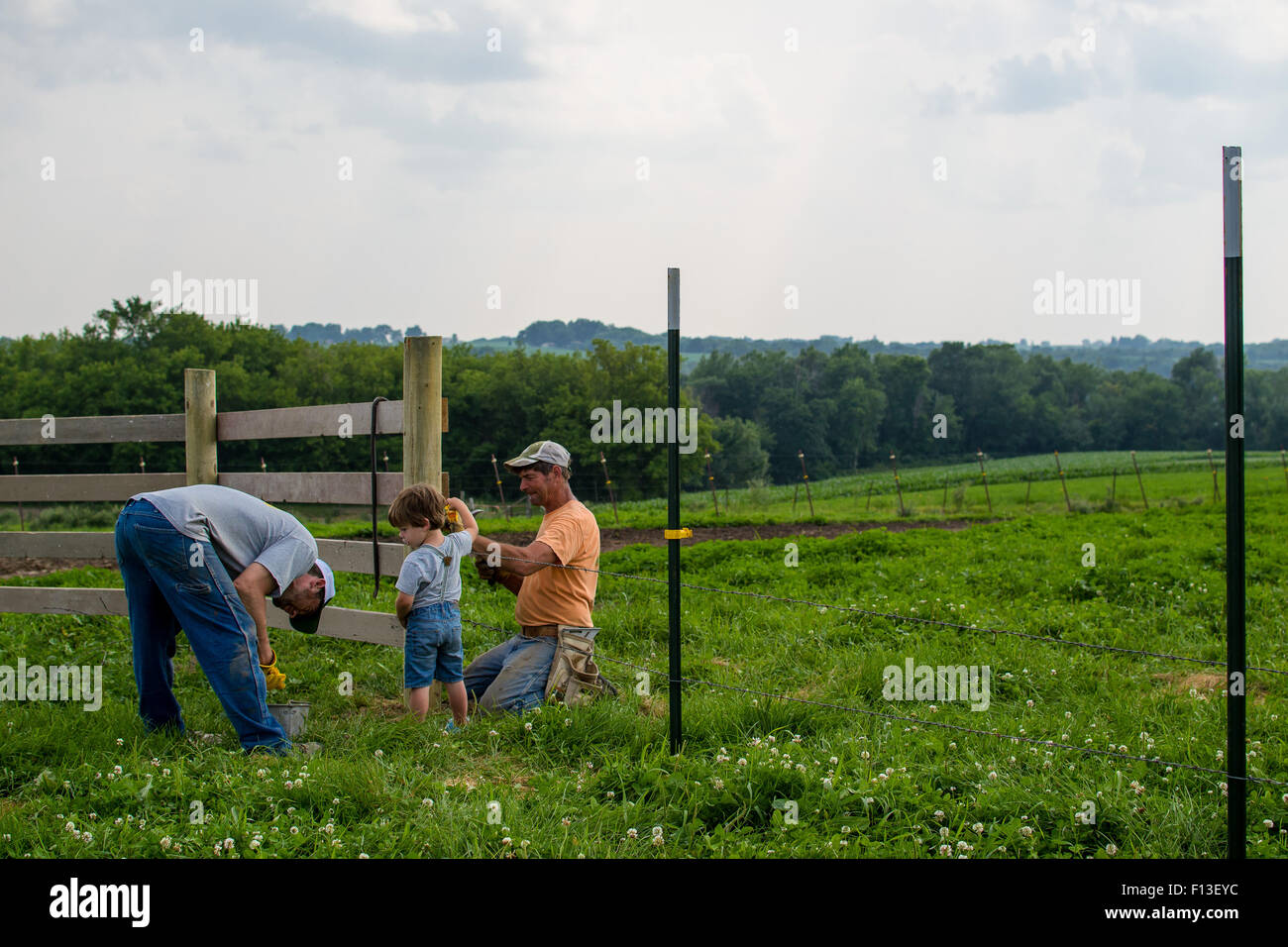 Boy helping workmen on farm Stock Photo - Alamy
