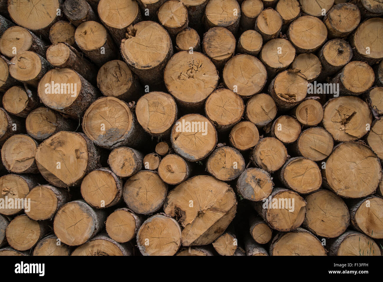 Patterns in sawn-cut timber logs Stock Photo - Alamy