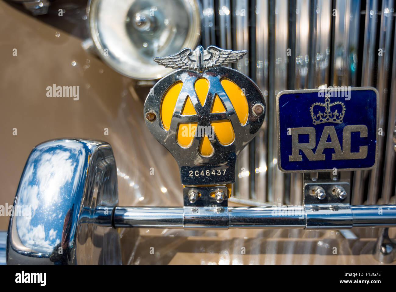 AA and RAC badges on a 1950 Jaguar Mark V at a Meeting of the Standard ...