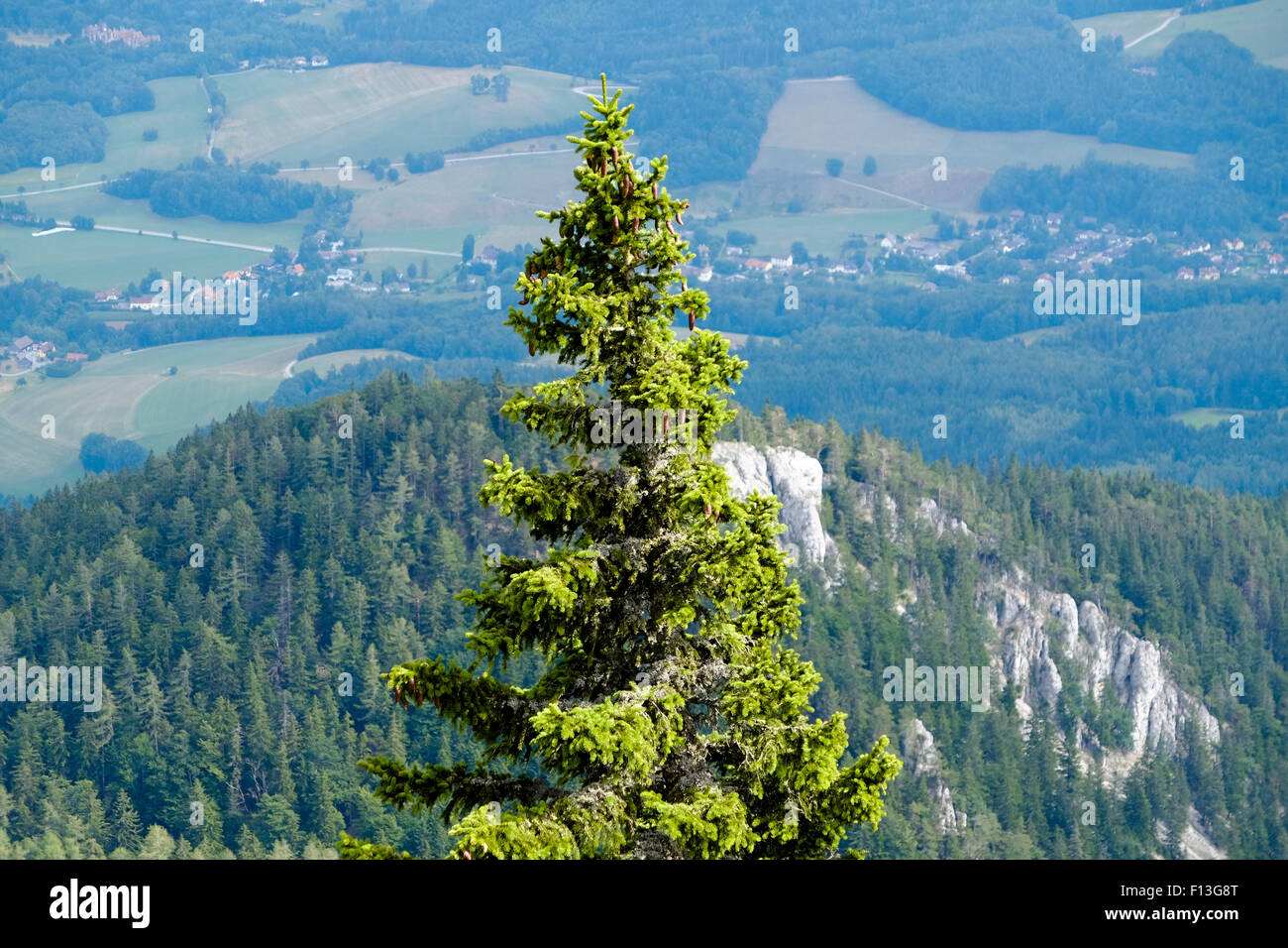 The Austrian Alps Stock Photo - Alamy