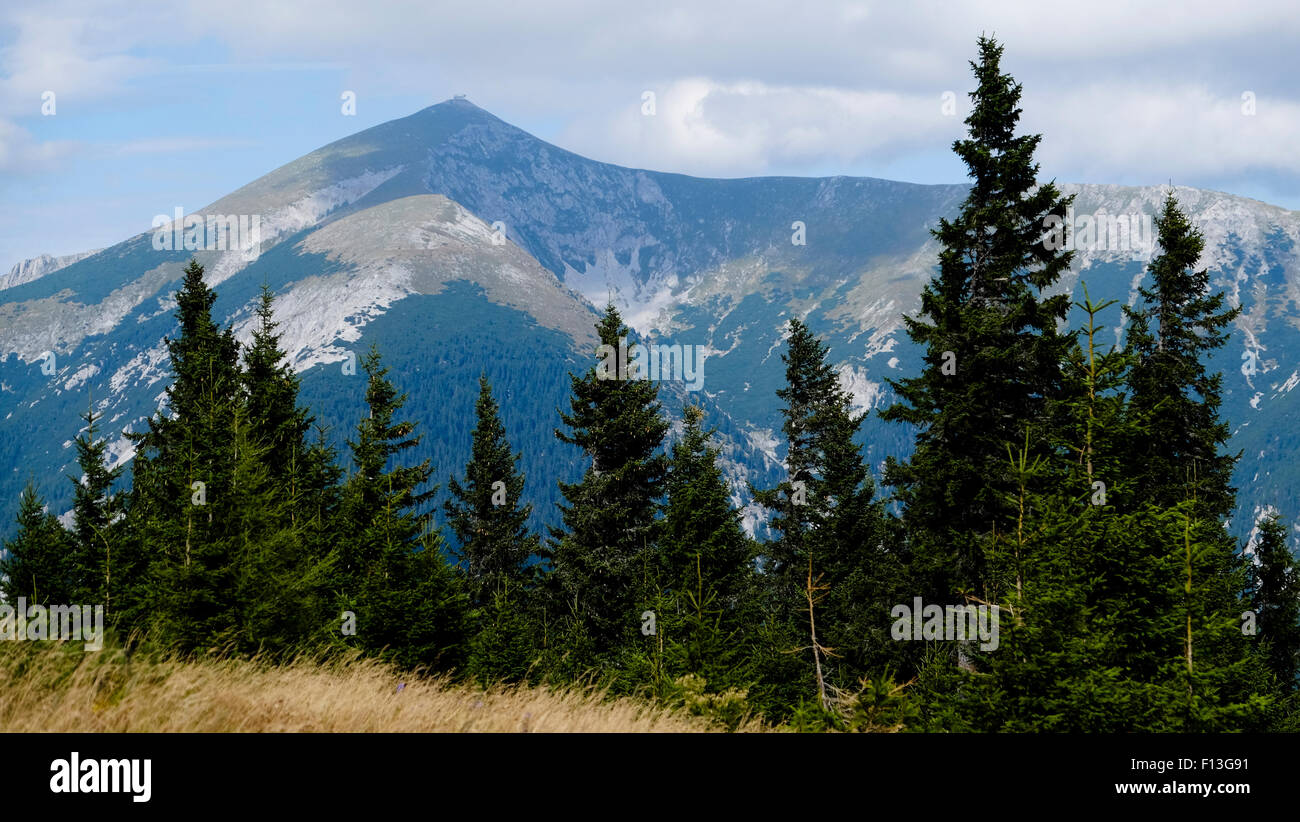 The Austrian Alps Stock Photo - Alamy