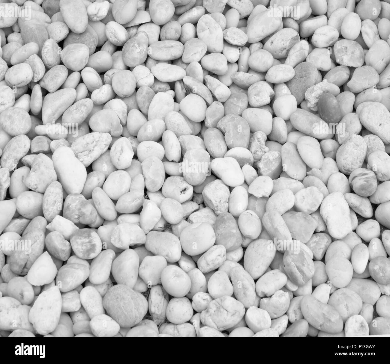 On the garden ground Black and White Stock Photos & Images - Alamy